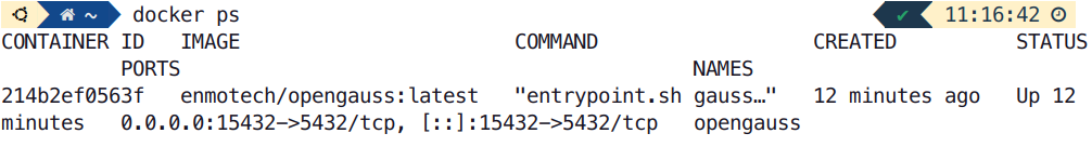 Ubuntu通过Docker安装OpenGauss | Aurorallz's small island