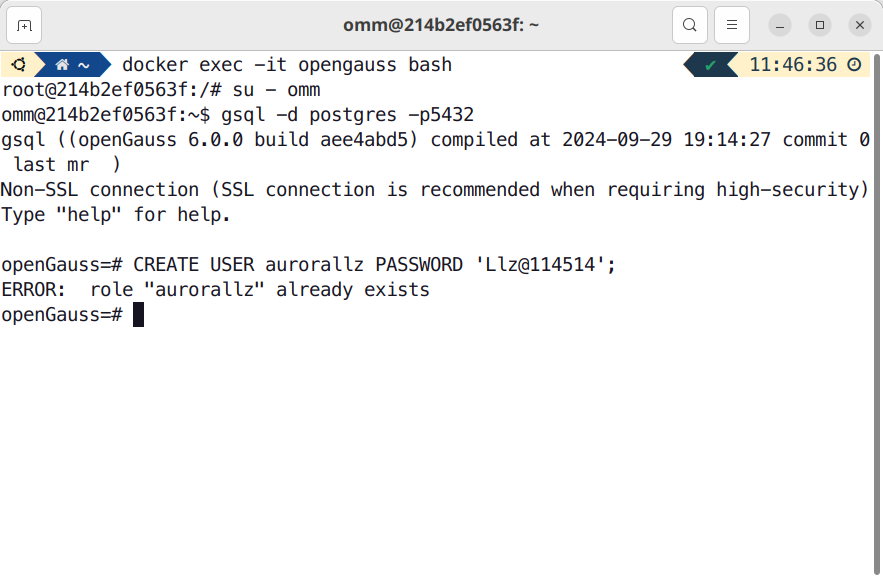 Ubuntu通过Docker安装OpenGauss | Aurorallz's small island